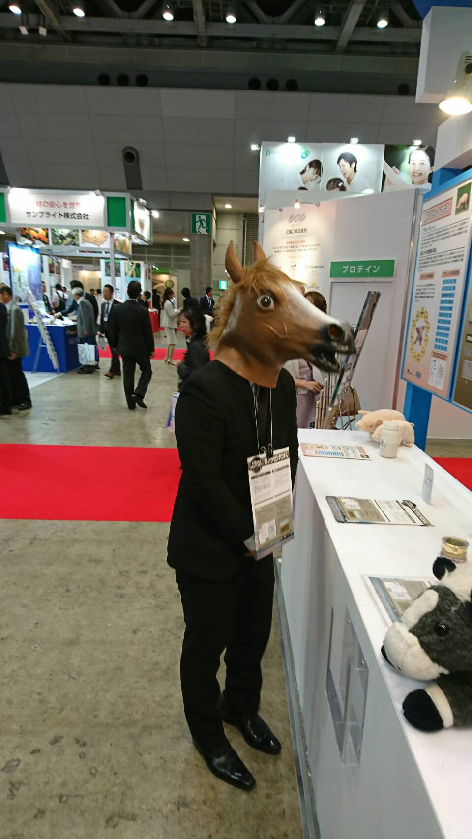 horse | KUROMANIN